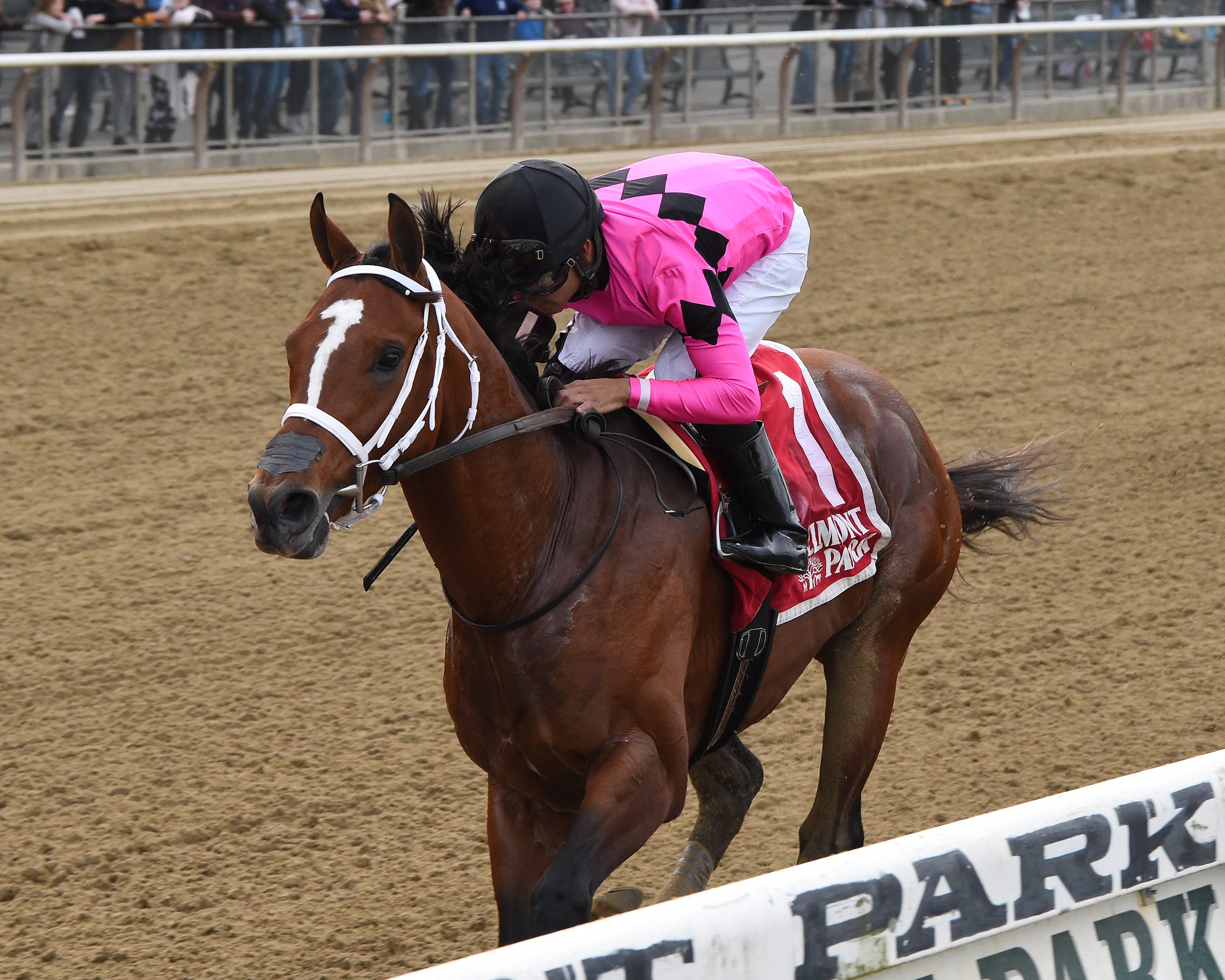 Maximum Security returns a winner in Bold Ruler